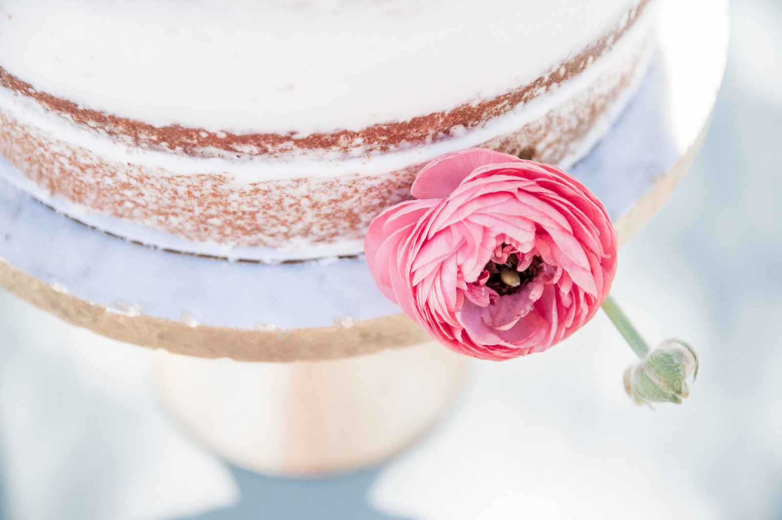 A Heart That Gives: Proverbs 31:20 WifeLife - tialynjohn.com